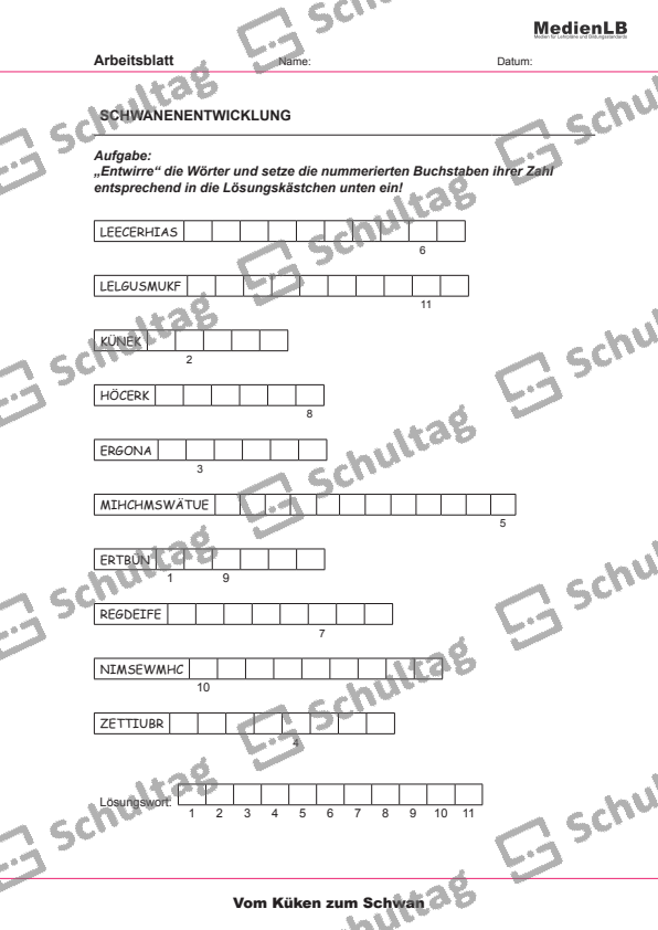 FEDERARTEN UND IHRE AUFGABEN – Schultag