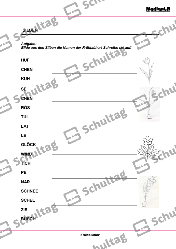 Frühblüher (Sammlung) – Schultag