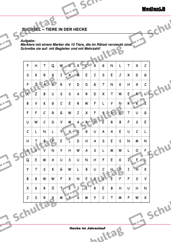 SUCHSEL – TIERE IN DER HECKE – Schultag