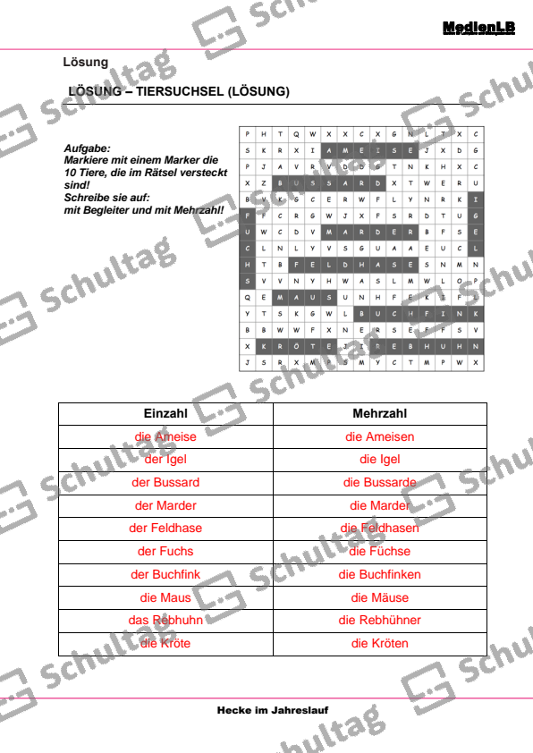 SUCHSEL – TIERE IN DER HECKE – Schultag