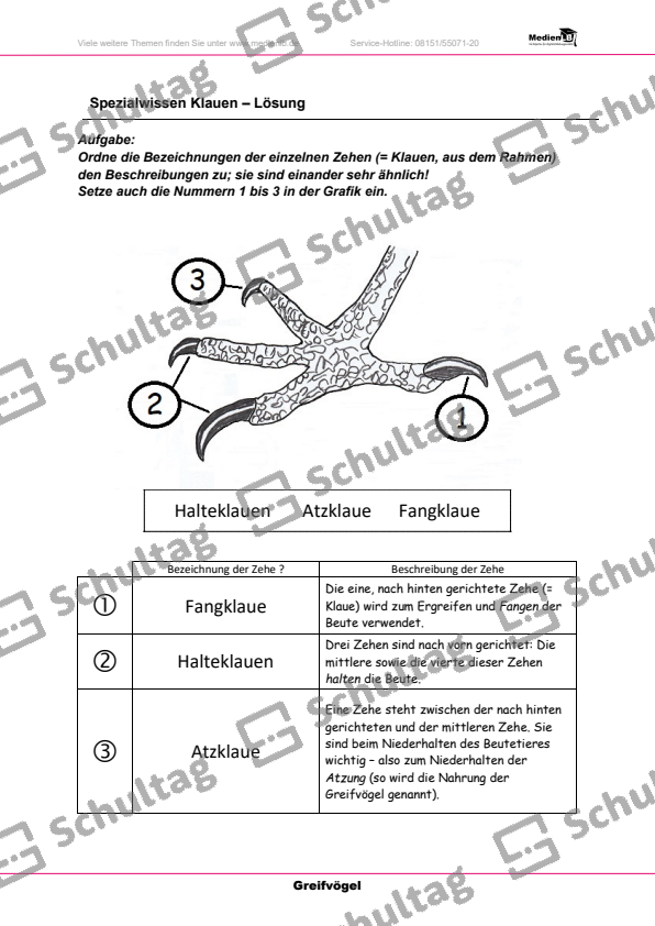 Spezialwissen Klauen – Schultag
