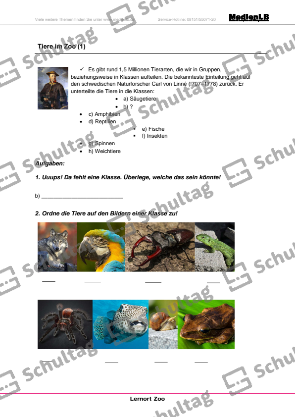 Tiere im Zoo – Schultag