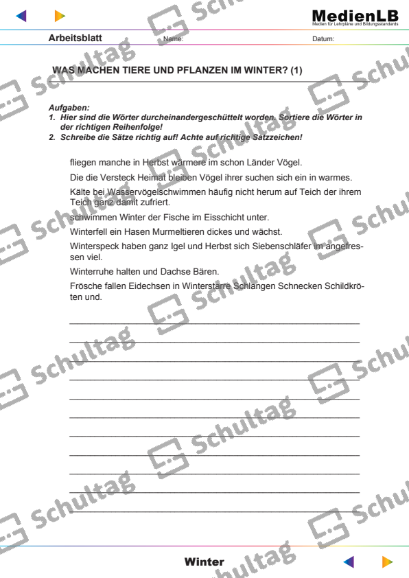 WAS TUST DU IM WINTER – Schultag