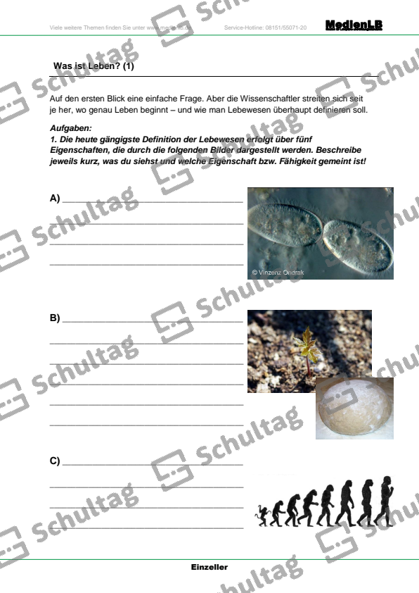 Lebensräume der Prokaryoten – Schultag