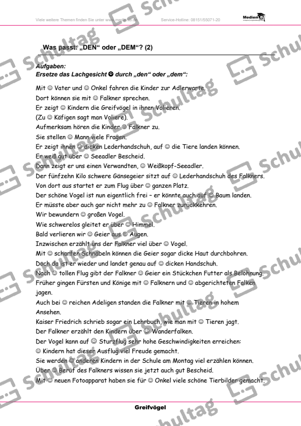 Was passt – DEN oder DEM 2 – Schultag