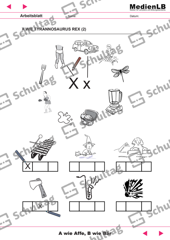 X WIE TYRANNOSAURUS REX – Schultag