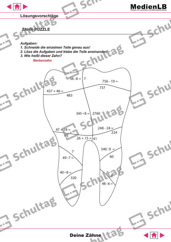 ZAHN-PUZZLE – Schultag