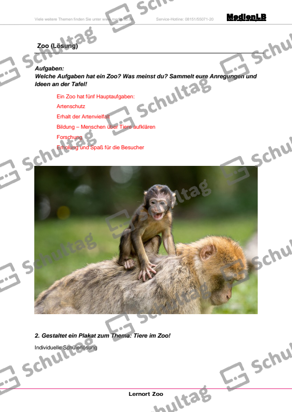 Zoo – Schultag
